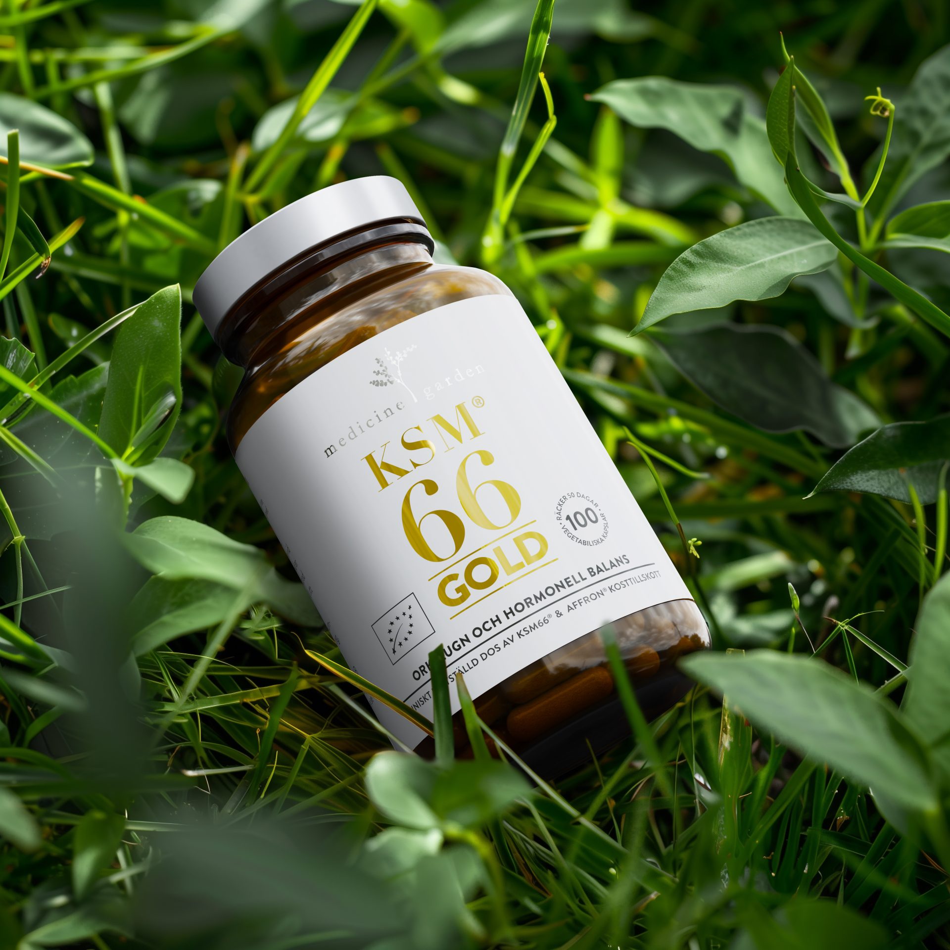 KSM 66 GOLD 100 kapsler - Dermafin